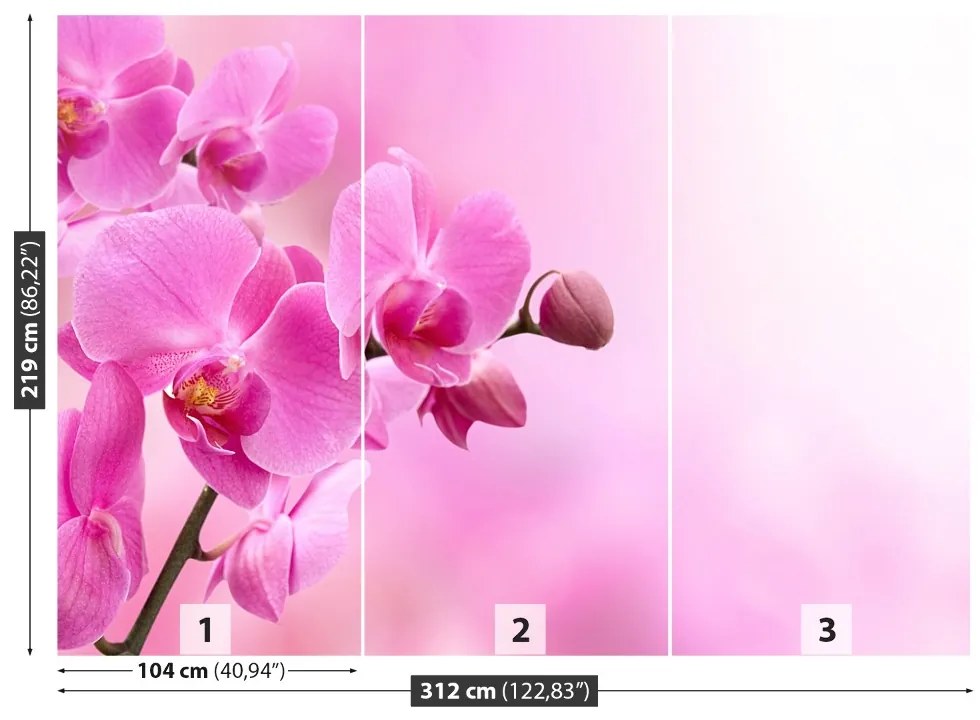 Fototapeta Růžová orchidej 104x70