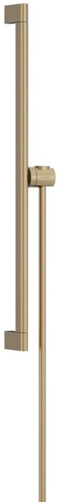 Hansgrohe Unica - Sprchová tyč 66 cm, se sprchovou hadicí, kartáčovaný bronz 24402140