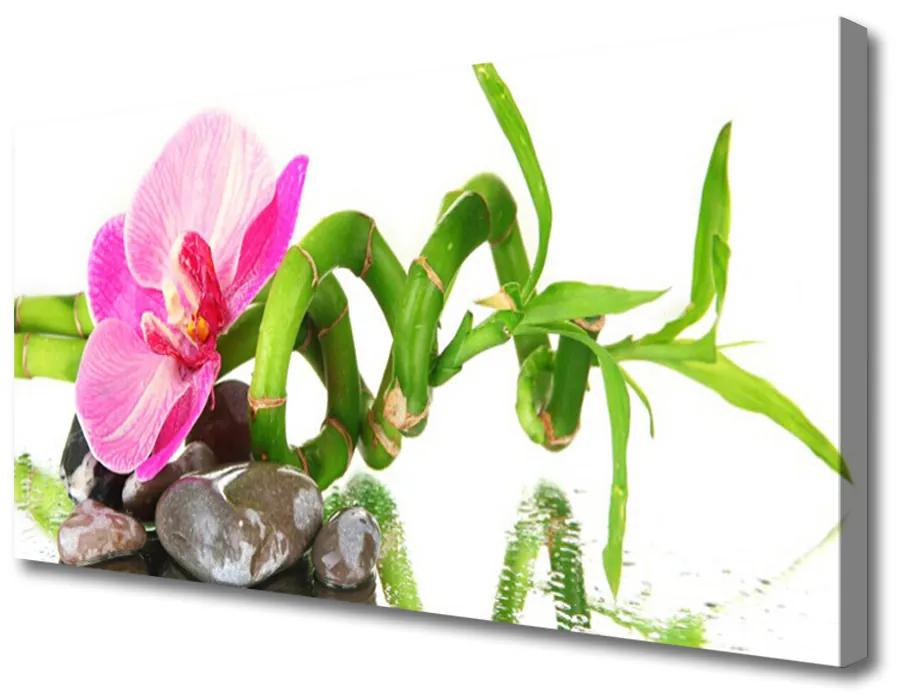 Obraz na plátně Květ Rostlina Příroda 100x50cm