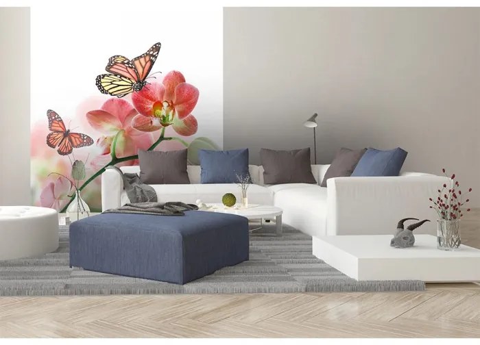 DIMEX | Vliesová fototapeta na zeď Motýli a orchideje MS-3-0146 | 225 x 250 cm | bílá, vícebarevná