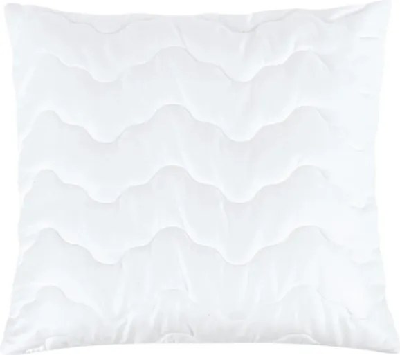 Bellatex Výplňkový polštář s proševem bílá rozměr 40x60 cm, 350g