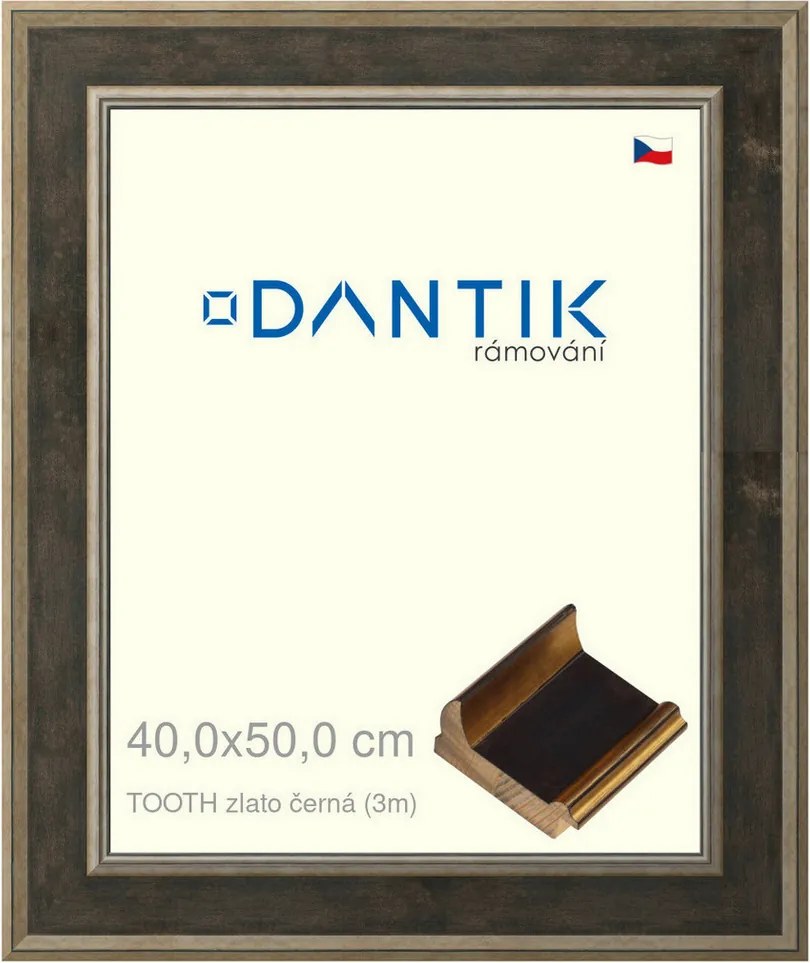 DANTIK rámeček 40x50 | TOOTH zlato černá (Plexi Čiré)