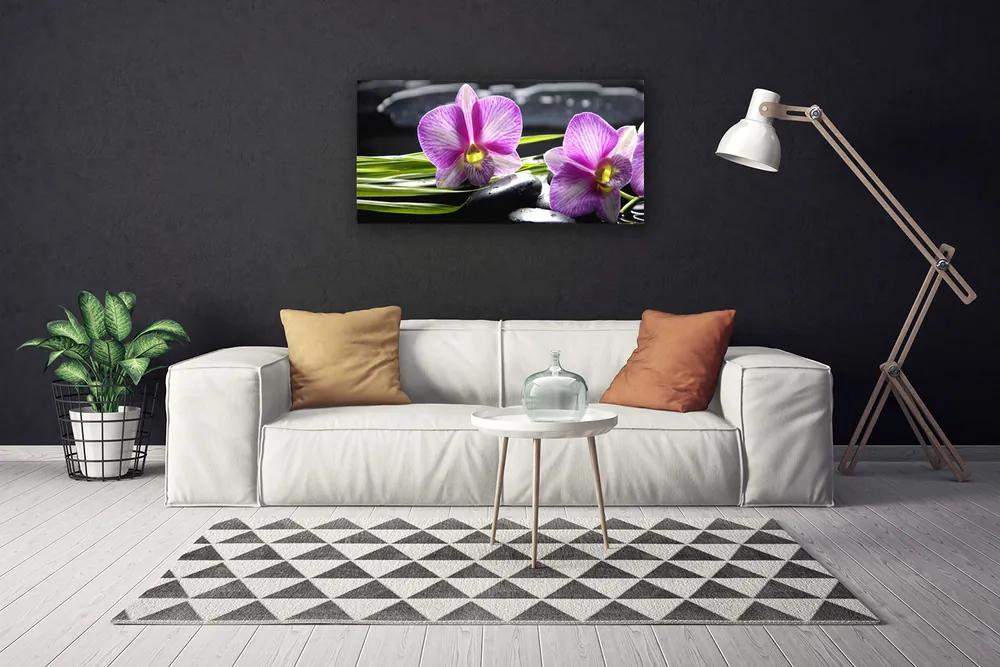 Obraz na plátně Orchidej Kameny Zen Lázně 120x60 cm