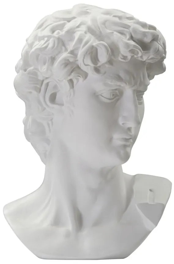 Mauro Ferretti Socha hlavy 44X35,5X60 cm