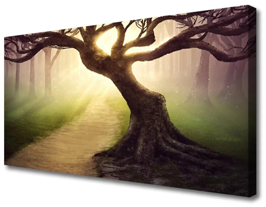 Obraz na plátně Strom Paprsky Slunce 125x50 cm