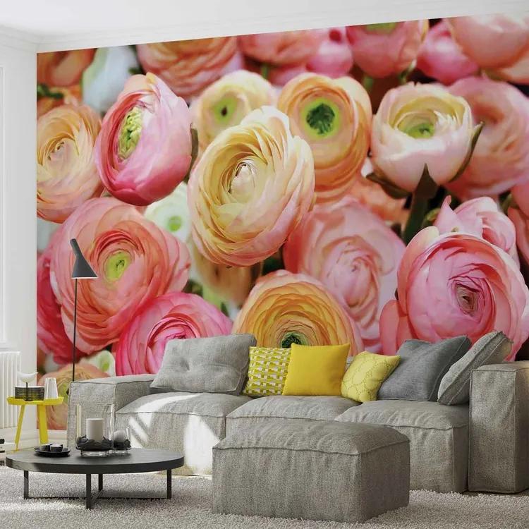 Fototapeta, Tapeta Růžové květiny, barevné pivoňky, (312 x 219 cm)