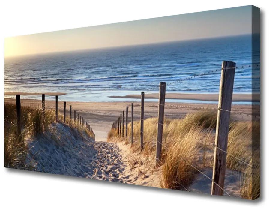 Obraz na plátně Pláž Stezka Krajina 100x50cm