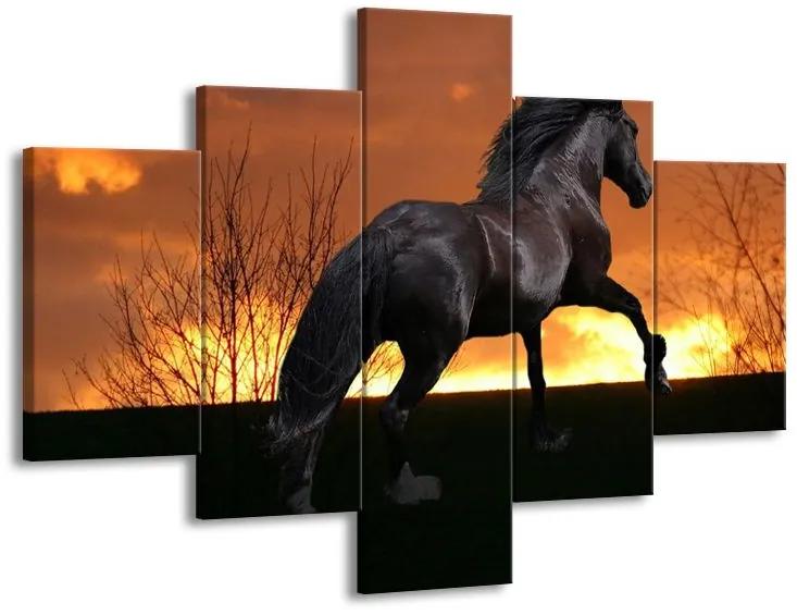 Černý kůň při západu slunce 100x70 cm