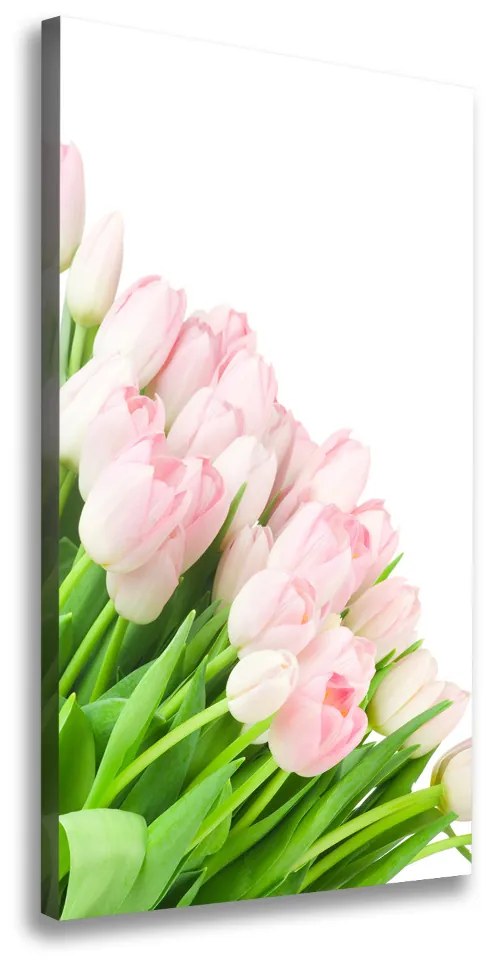 Wallmuralia Vertikální Foto obraz na plátně Růžové tulipány 50x100