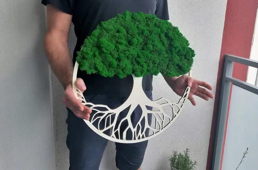 OznTo Obraz strom s mechem 30cm zelený