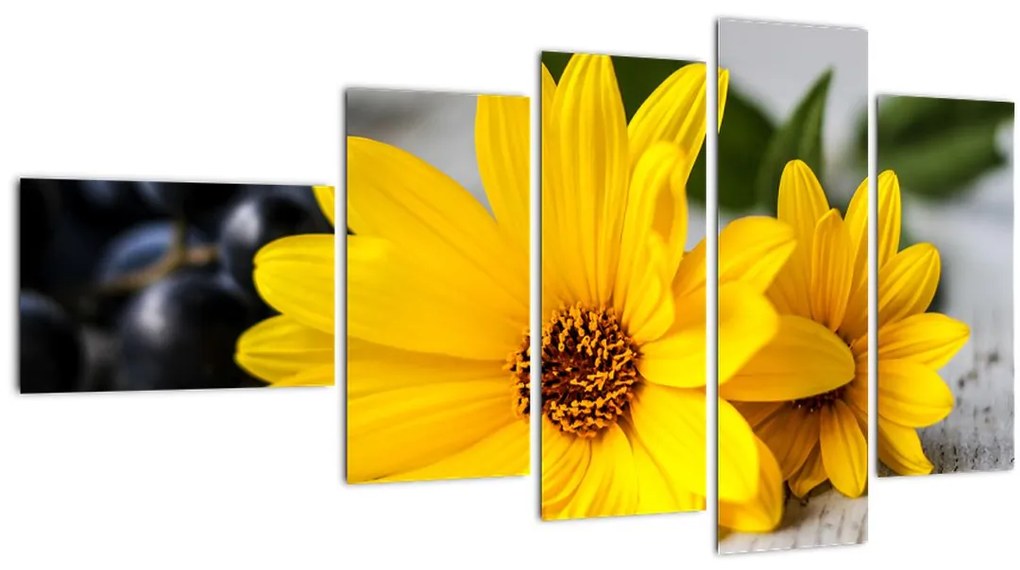 Obraz žluté květiny (110x60 cm), 40 dalších rozměrů