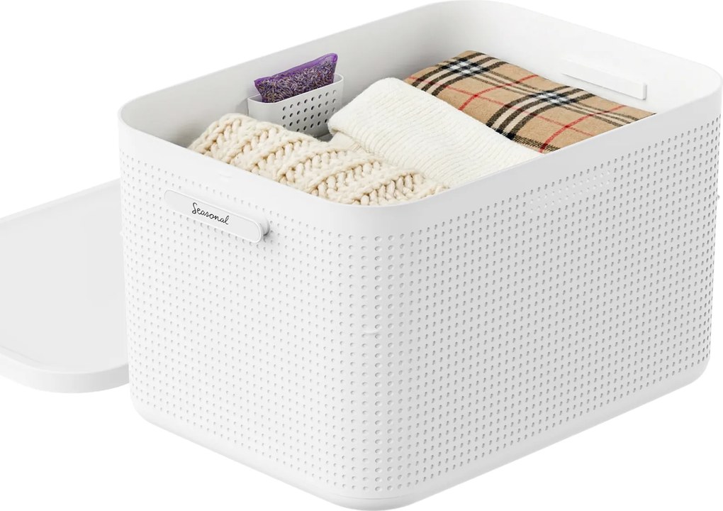 Rotho Úložný box do skříně s víkem a přihrádkou na levanduli, šatní organizér LISORA - L, 50 × 35,6 × 28,2 cm