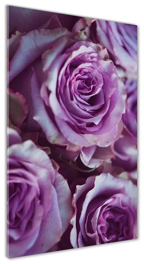 Wallmuralia Foto obraz akryl do obýváku Fialové růže 50x100 cm