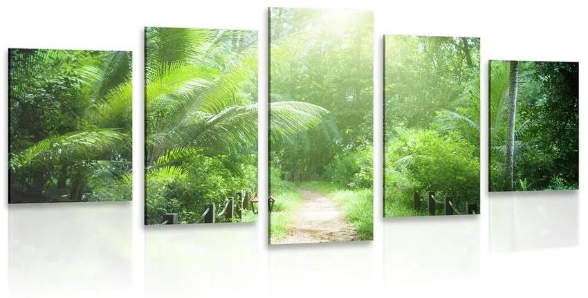 5-dílný obraz cestička na ostrově Seychely - 100x50 cm