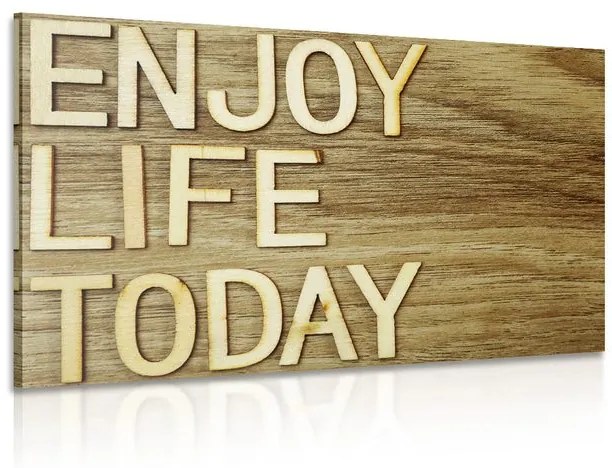 Obraz s citací - Enjoy life today