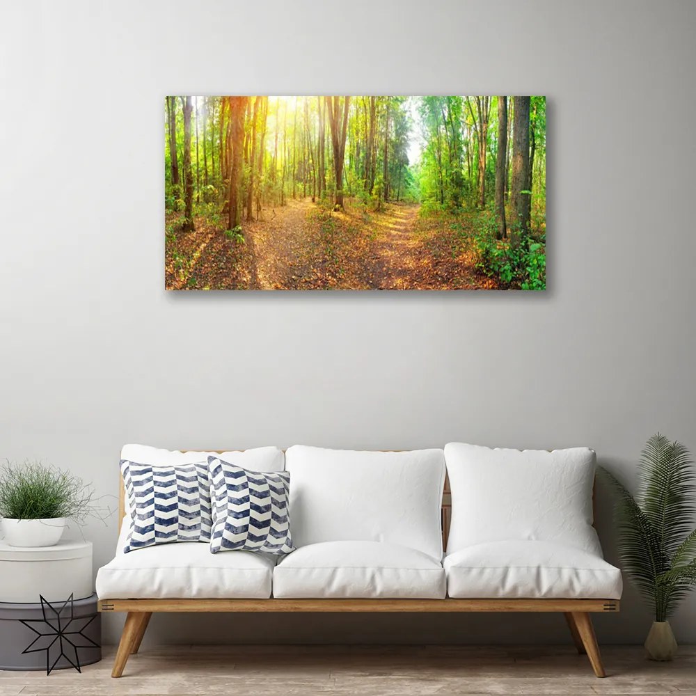 Obraz na plátně Slunce Příroda Lesní Stezka 140x70 cm