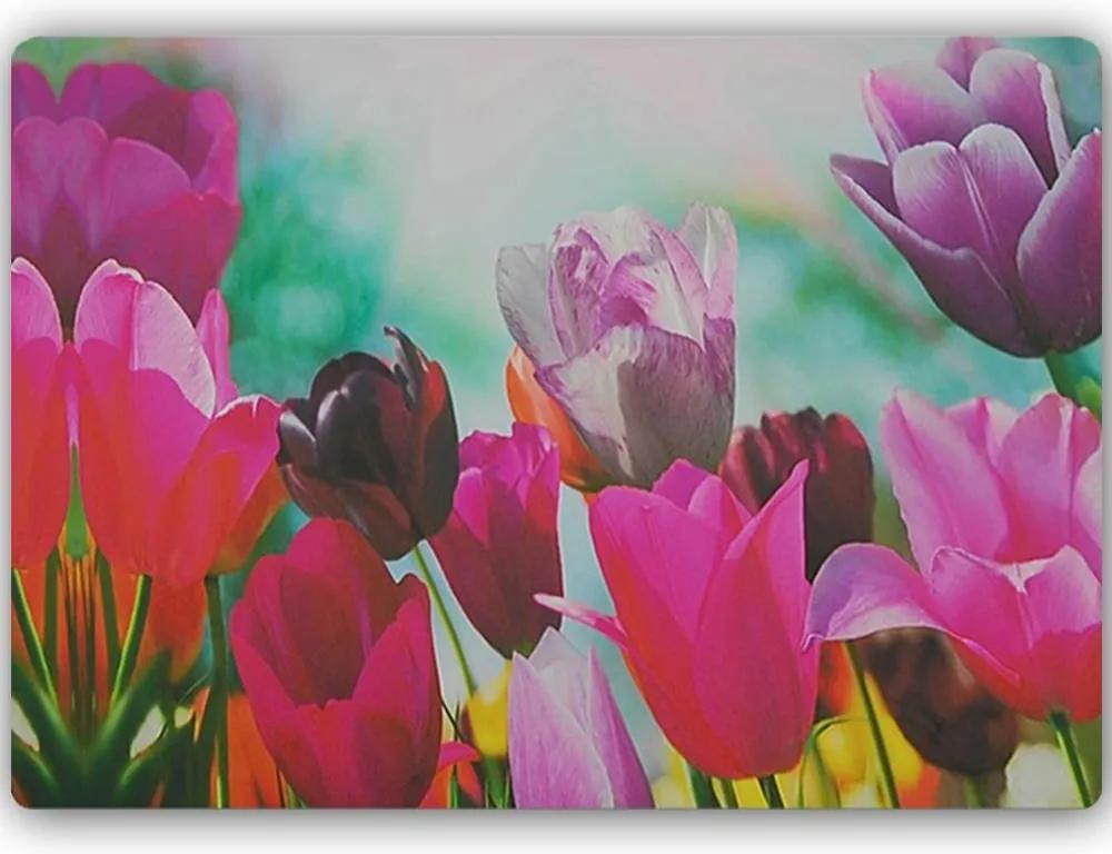 CARO Kovový obraz - Tulips 3 60x40 cm