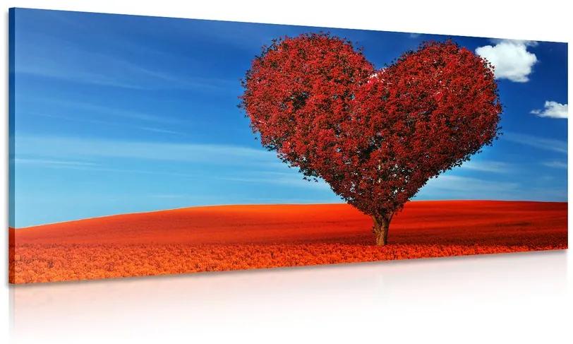 Obraz nádherný strom ve tvaru srdce Varianta: 100x50