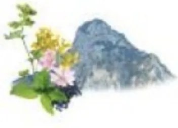 Saunaproject Harvia esence do sauny alpské byliny 100ml