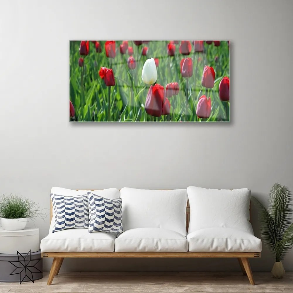 Obraz na skle Tulipány Květiny Příroda 120x60 cm