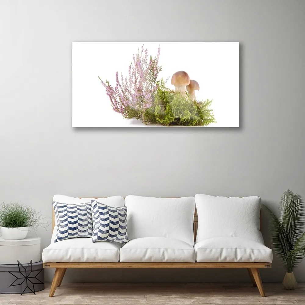 Obraz na skle Houby Rostlina Příroda 140x70 cm