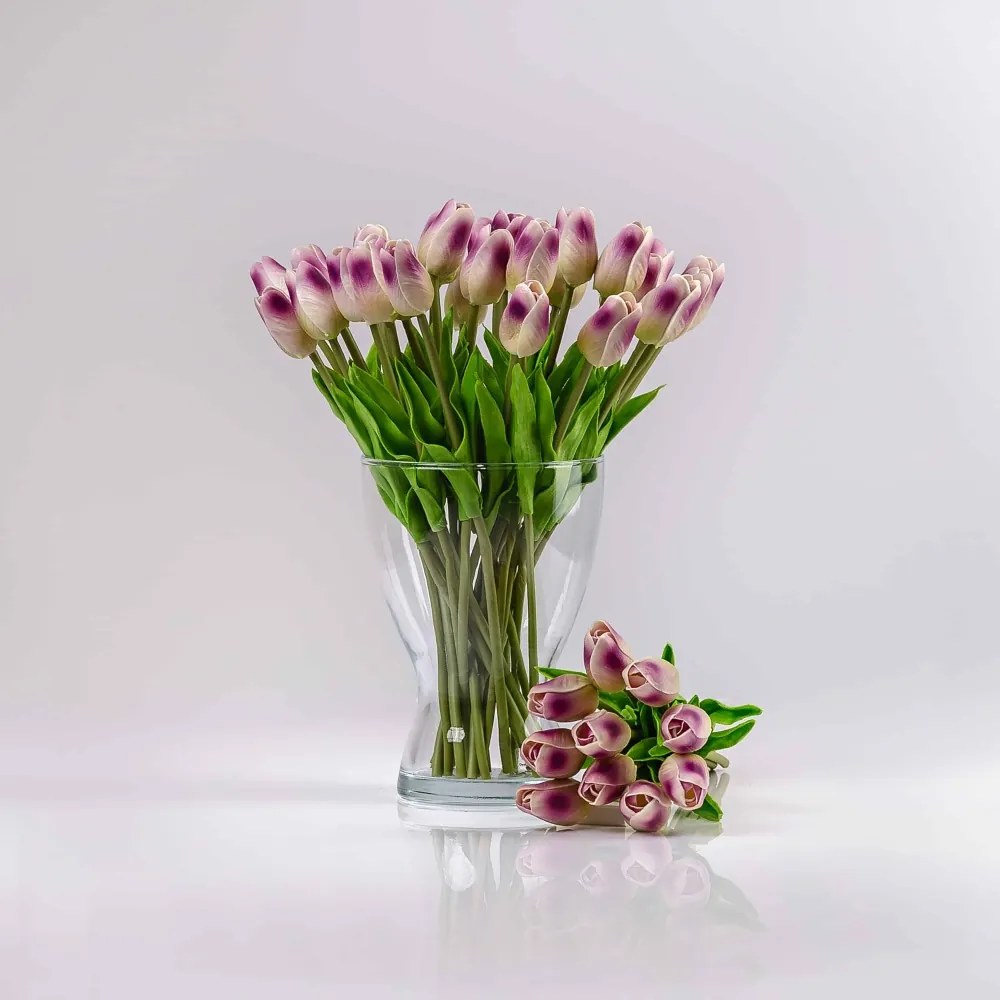 Rozkošný tulipán IVONA