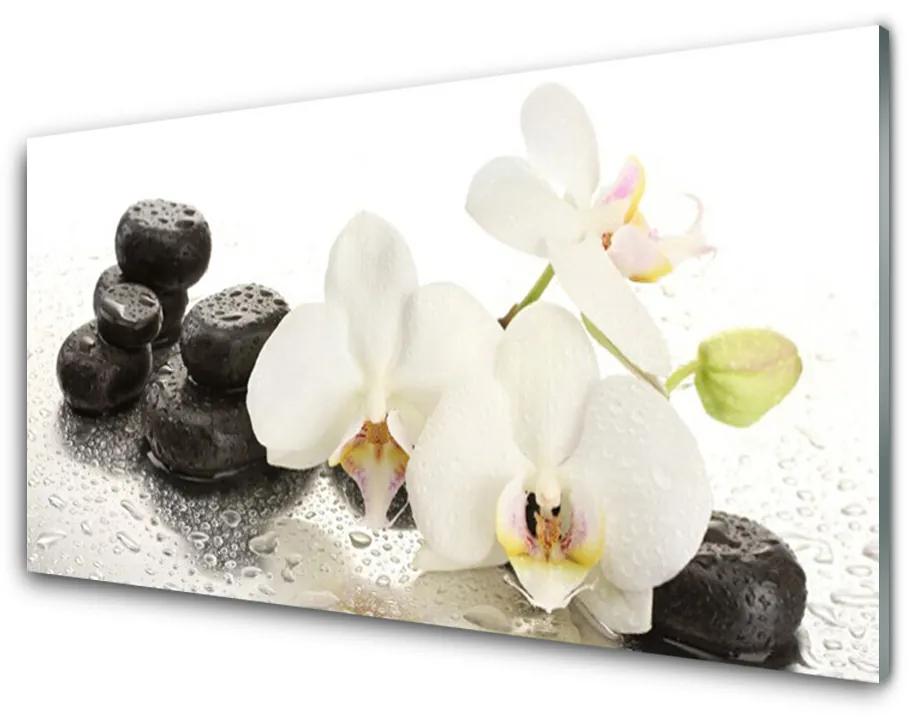 akrylový obraz Květ Kameny Rostlina 120x60 cm