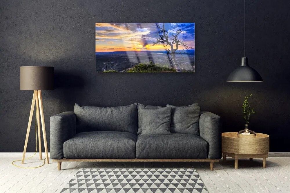 Obraz na skle Strom Zápas Slunce 100x50 cm