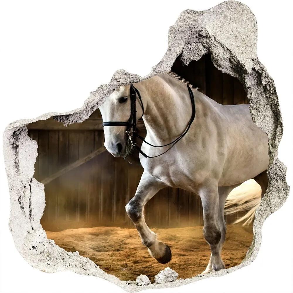 Wallmuralia Díra 3D fototapeta na stěnu Bílý kůň ve stáji 75x75 cm