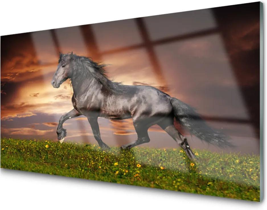 Akrylové obraz Černý Kůň Louka Zvířata