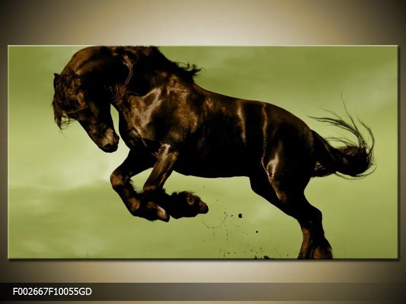 Obraz statného koně  (), 40 dalších rozměrů