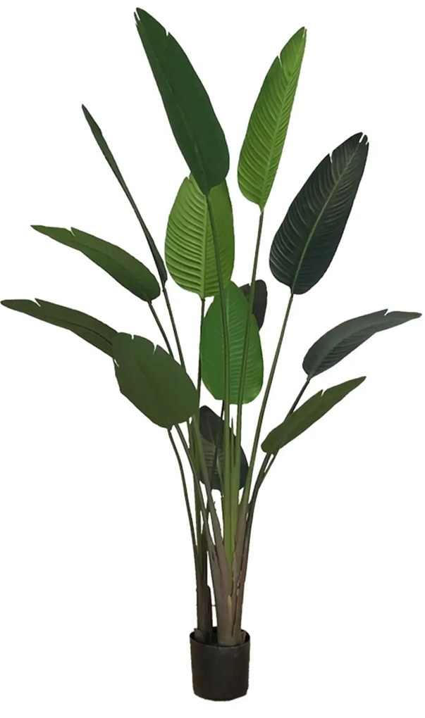 Artificial pot plant Strelicja 220cm