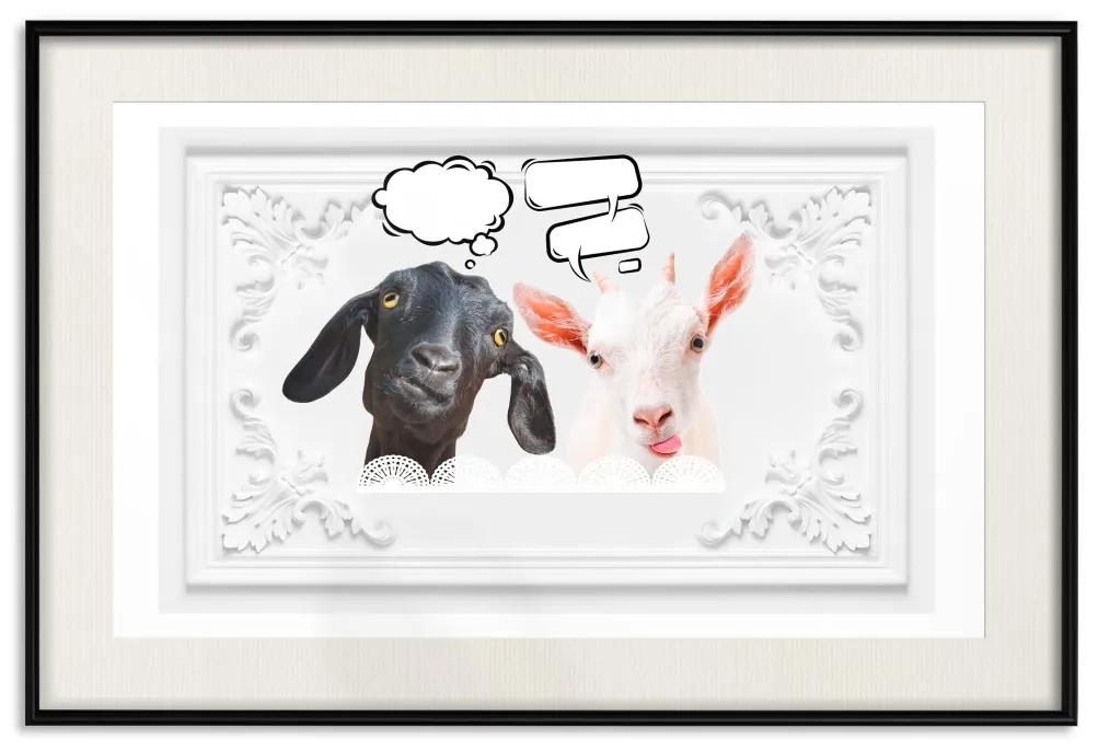 Plakát Vtipné kozy - komická kompozice s černobílým zvířetem