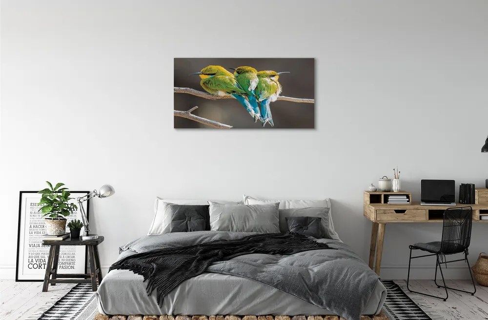 Obrazy na plátně Ptáci na větvi 100x50 cm