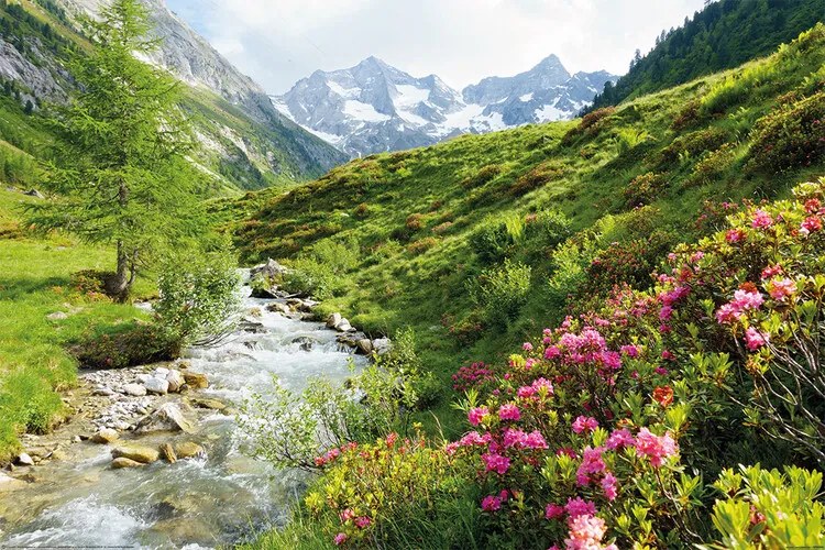 Plakát, Obraz - Alps - Nature and Mountains, (120 x 80 cm)