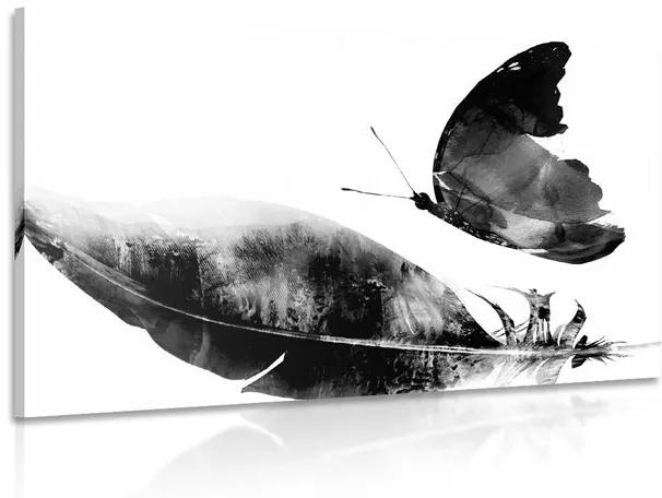Obraz pírko s motýlem v černobílém provedení Varianta: 120x80