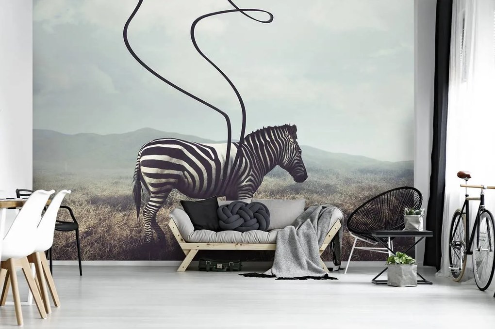 Fototapeta - Zebra (254x184 cm)