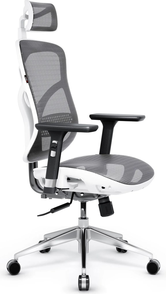 Ergonomická kancelářská židle ze síťoviny, bílý-šedý: Diablo V-Basic
