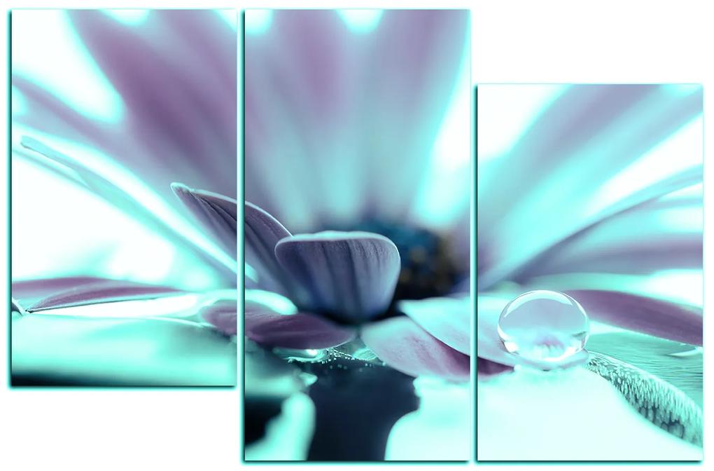 Obraz na plátně - Kapka rosy na lupenech květu 180FC (105x70 cm)