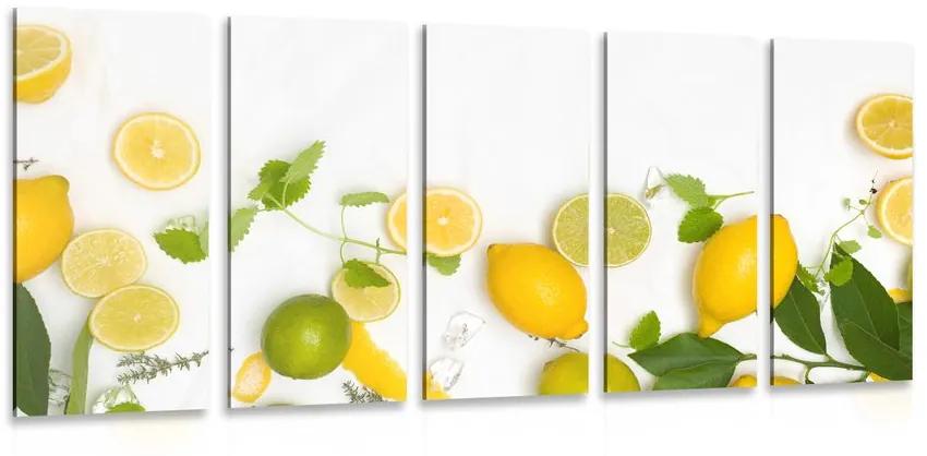 5-dílný obraz směs citrusových plodů Varianta: 100x50