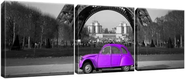 Obraz na plátně Fialové auto v Paříži 90x30cm 1966A_3A