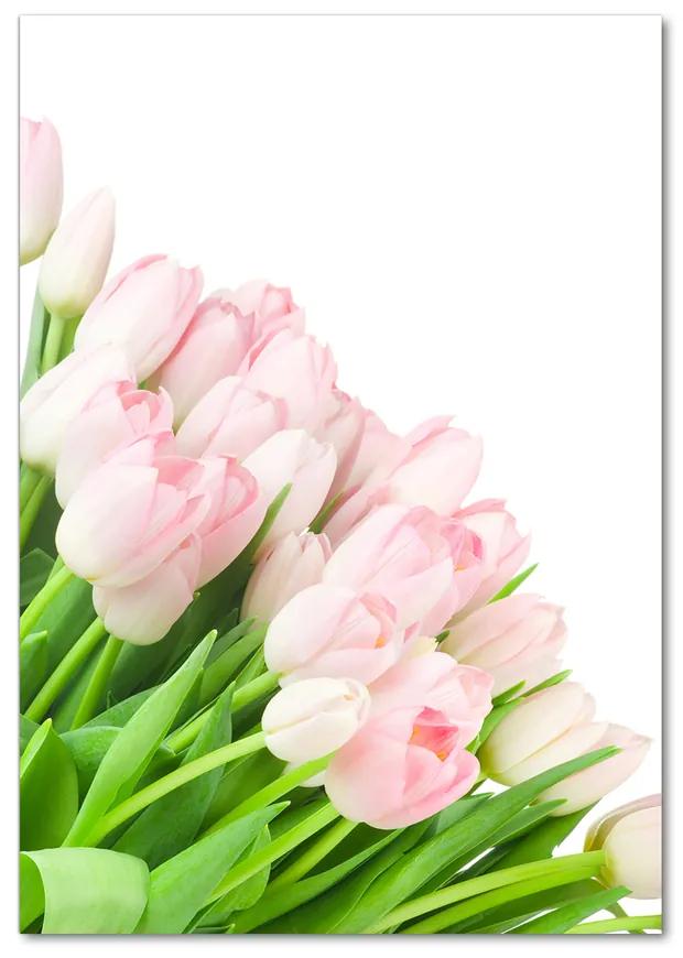 Wallmuralia Fotoobraz na skle Růžové tulipány 70x100 cm