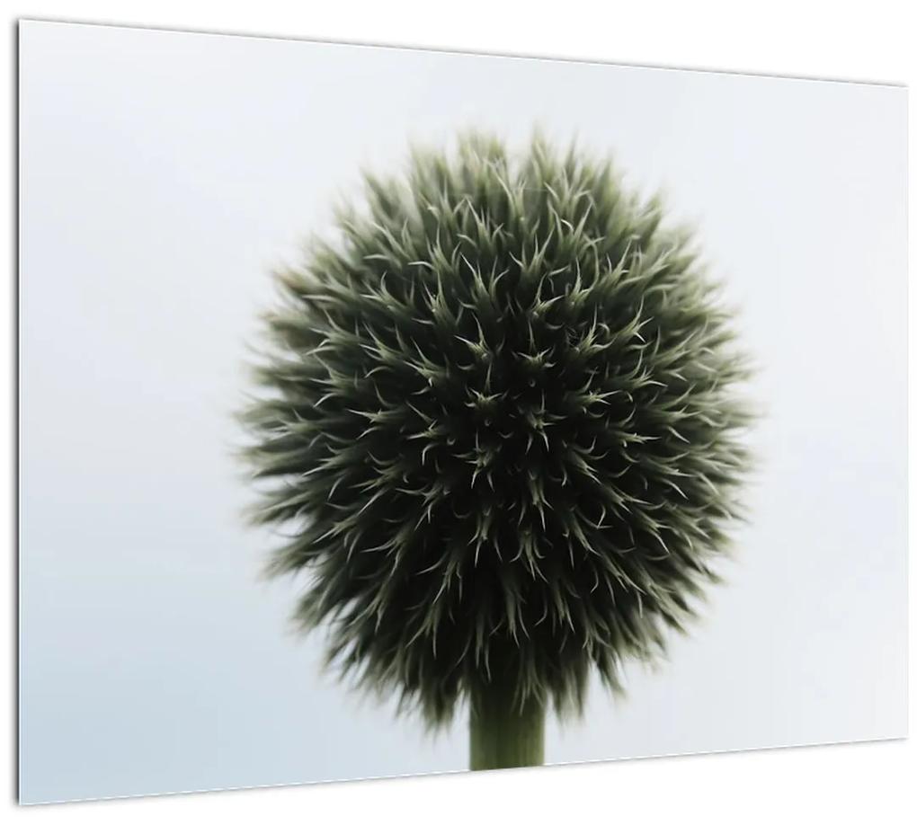 Skleněný obraz květinové koule (70x50 cm)