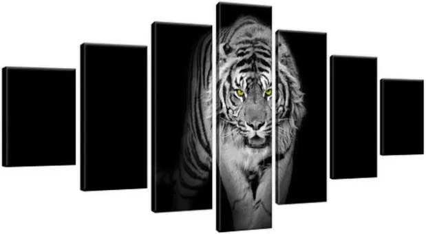 Obraz na plátně Nebezpečný tygr ve tmě 210x100cm 2359A_7A
