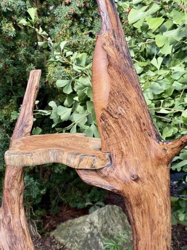 Škrabadlo pro kočky nebo stojan na květiny, Teak 209 cm 185 - 220 cm