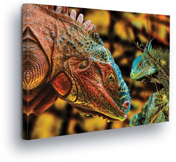 GLIX Obraz na plátně - Chameleon 80x60 cm