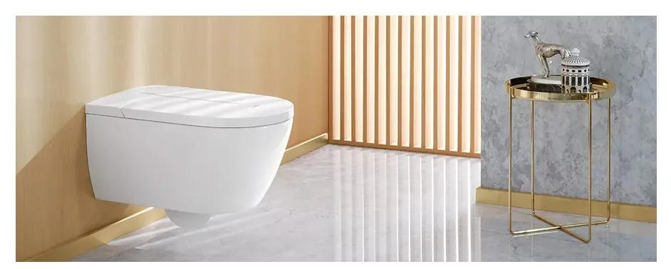 VILLEROY & BOCH Villeroy Boch ViClean-I 100: sprchové WC, WC mísa bez splachovacího kruhu s bidetová sedátkem, bílá alpin CeramicPlus, V0E100R1