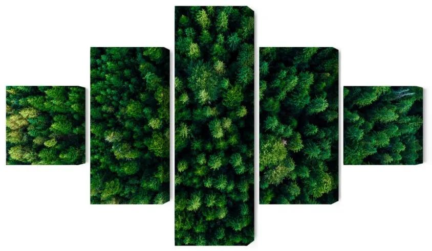 Vícedílný obraz Letecký Pohled Na Zelený Les Nedostatek Nedostatek Plátno Canvas 200x120