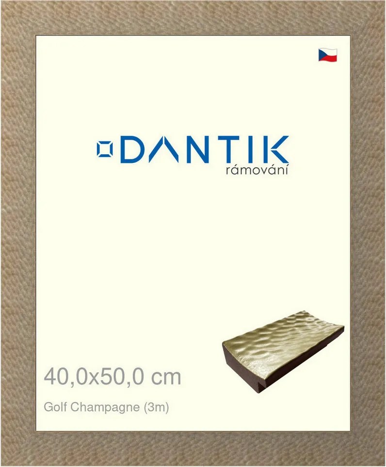 DANTIK rámeček 40x50 | Golf champagne (Sklo Čiré)