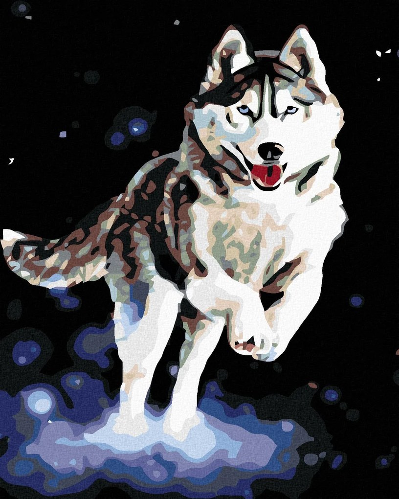 zuty malování podle čísel - husky, 40x50 cm, bez rámu a bez vypnutí plátna